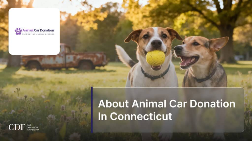 Connecticut Car Donation Organizations Benefit Worthy Charity Programs
