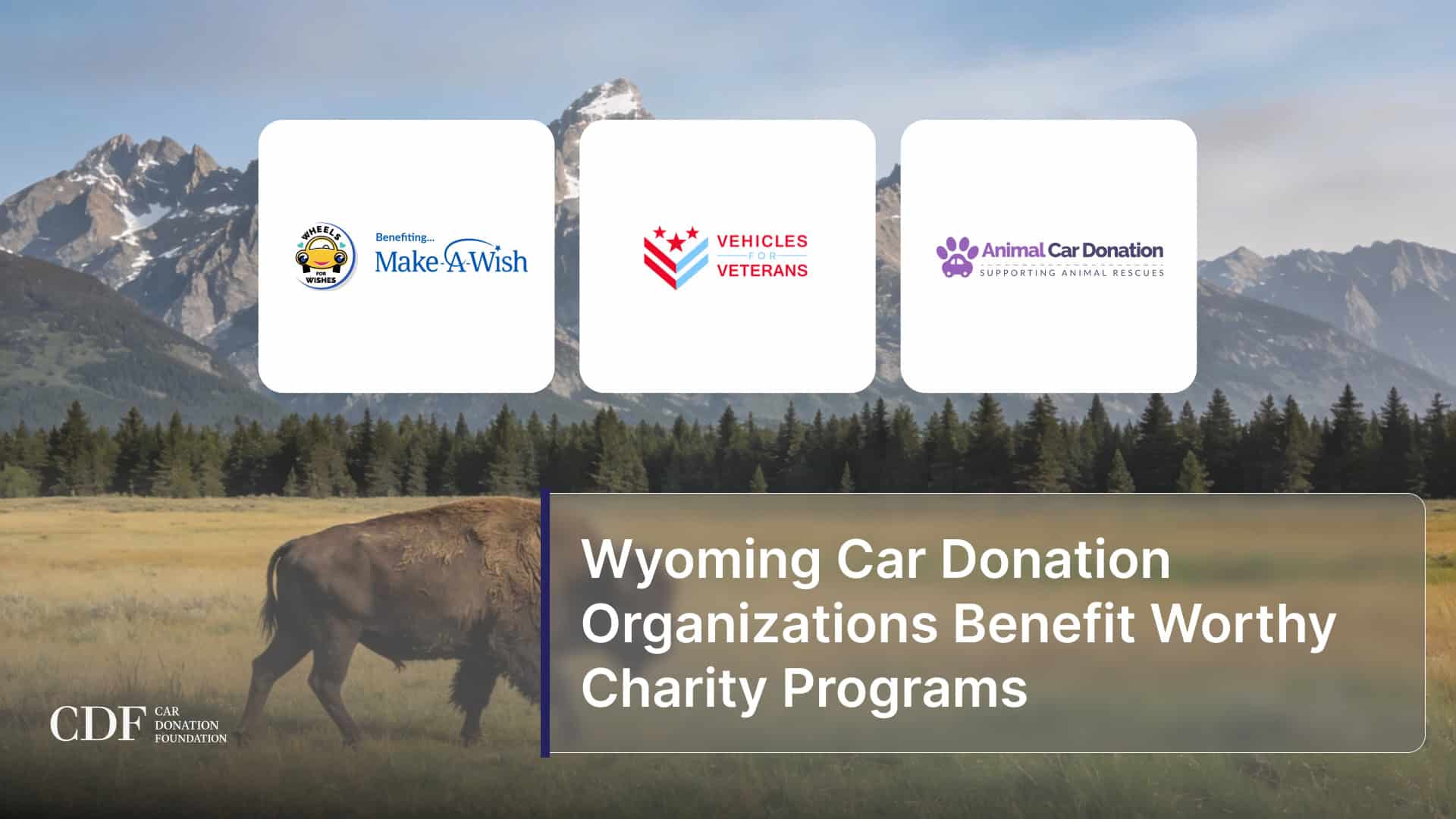 Wyoming Car Donation Organizations Benefit Worthy Charity